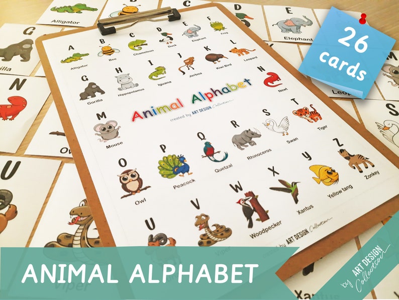 ANIMAL ALPHABET Flashcards 26 Montessori Cards Flash Cards - Etsy