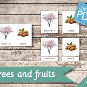 TREES AND FRUITS • 48 Montessori Cards • Flash Cards Nomenclature ...