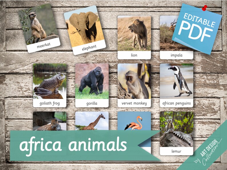 AFRICA ANIMALS • 28 Editable Montessori Cards • Flash Cards ...