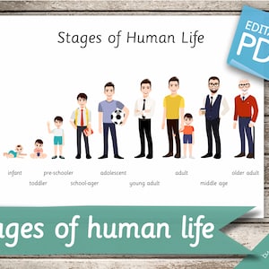 STAGES of HUMAN LIFE • 22 Montessori Cards • Flash Cards Nomenclature ...