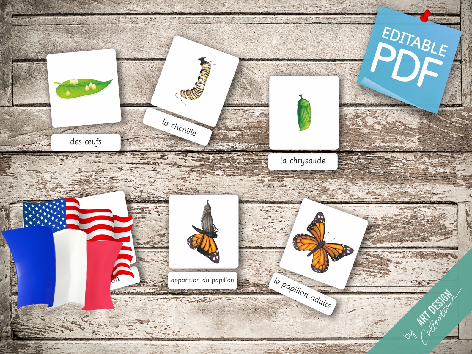 LIFE CYCLE of a BUTTERFLY French Edition 7 French and 7 - Etsy