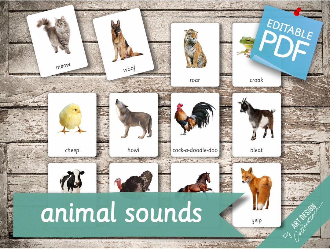 ANIMAL SOUNDS 3232 Editable Montessori Cards Flash Cards Nomenclature ...