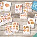 COUNTING SHELLS 1 to 20 20 Editable Montessori Cards Flash Cards ...