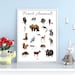 FOREST ANIMALS POSTER Montessori Poster Montessori - Etsy