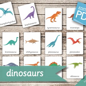 DINOSAURS • 20 Editable Montessori Cards • Flash Cards Nomenclature ...