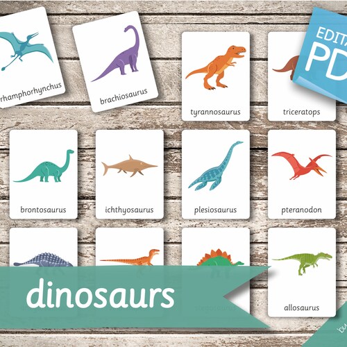 DINOSAURS 20 Editable Montessori Cards Flash Cards - Etsy