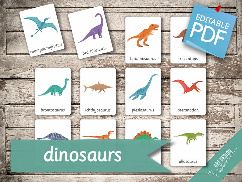 DINOSAURS 20 Editable Montessori Cards Flash Cards - Etsy