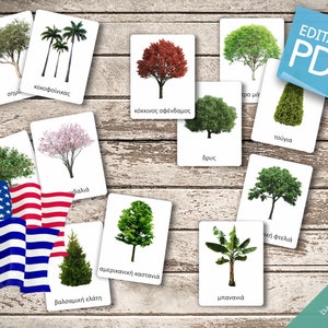 TREES (real Pictures) GREEK Edition • 32 Greek and 32 English Editable ...