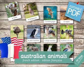 Australian Animals Flash Cards - Etsy