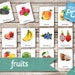 FRUITS real Pictures 50 Editable Montessori Cards Flash | Etsy