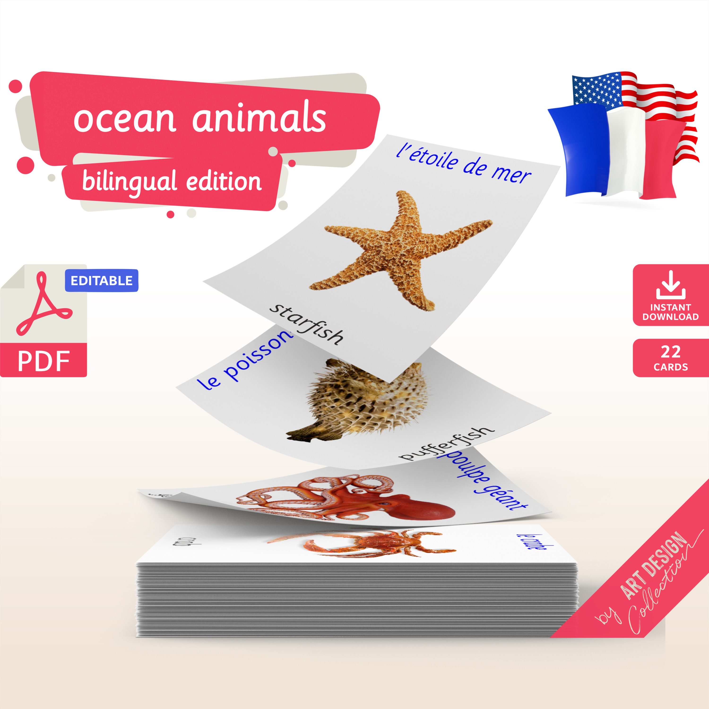 OCEAN ANIMALS BILINGUAL • 22 Editable Montessori Cards • Flash Card ...