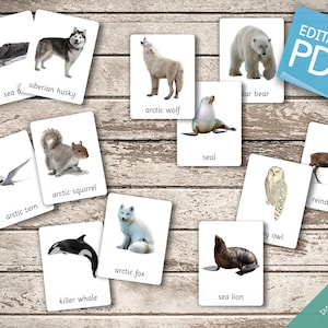 ARCTIC ANIMALS • 20 Editable Montessori Cards • Flash Cards ...