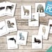 ARCTIC ANIMALS • 20 Editable Montessori Cards • Flash Cards ...