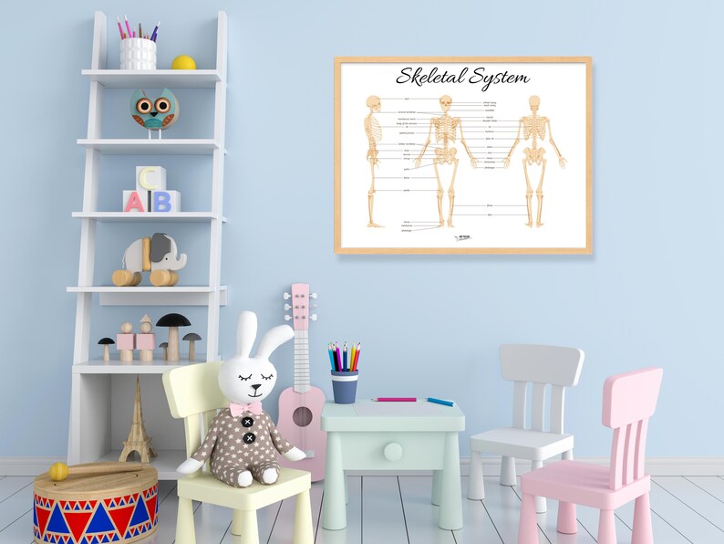 SKELETAL SYSTEM • Montessori Poster • Montessori Educational ...