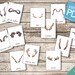 ANIMAL HORNS • 16 Montessori Cards • Flash Cards Nomenclature ...