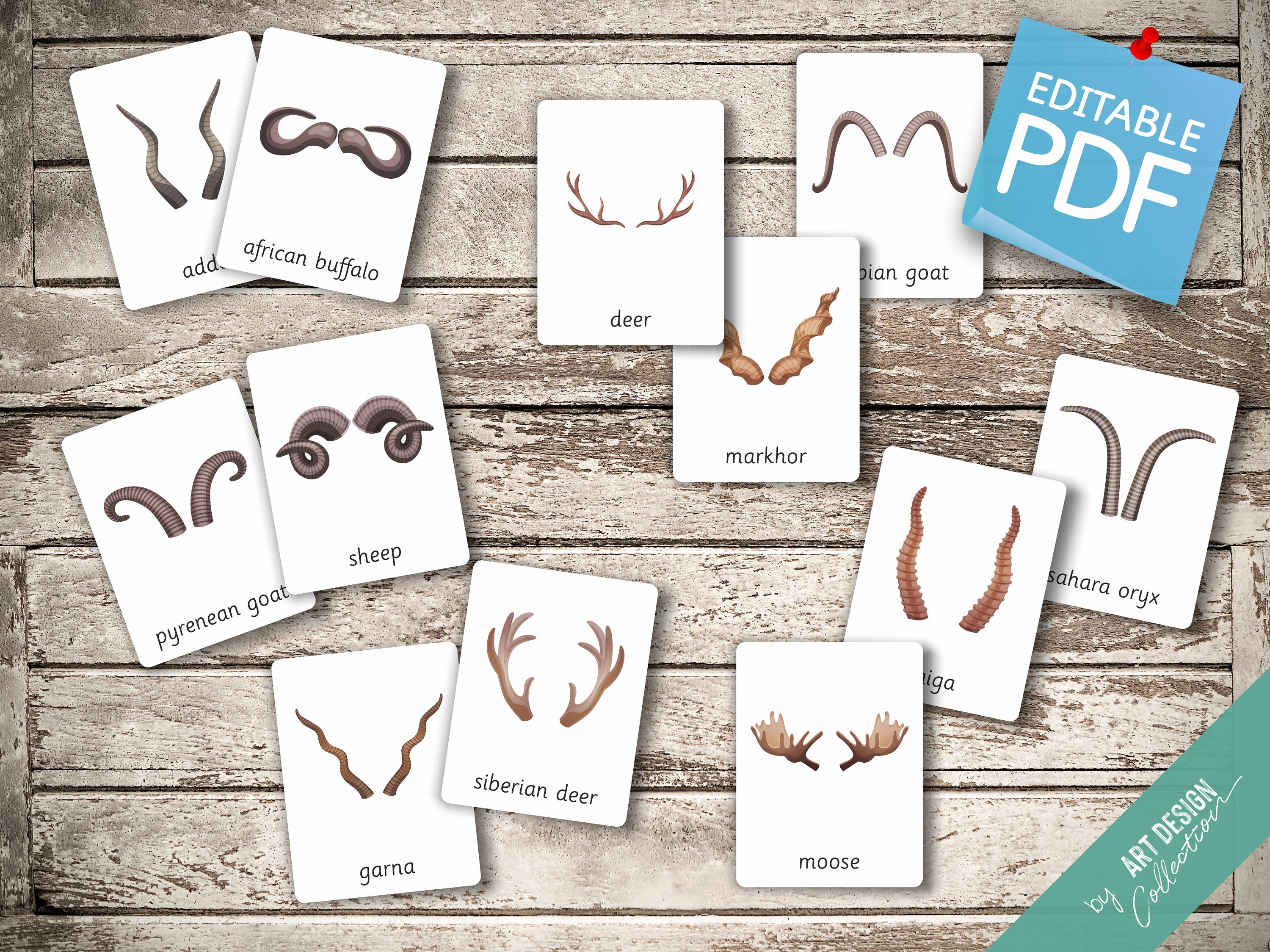 ANIMAL HORNS • 16 Montessori Cards • Flash Cards Nomenclature ...