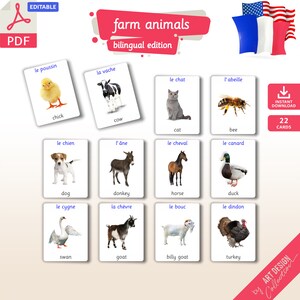 FARM ANIMALS BILINGUAL • 22 Editable Montessori Cards • Flash Card ...
