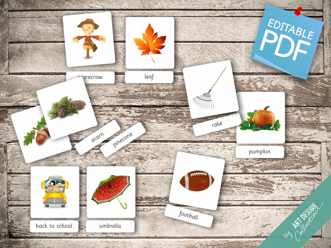 FALL Vocabulary 40 Editable Montessori Cards Flash Cards | Etsy
