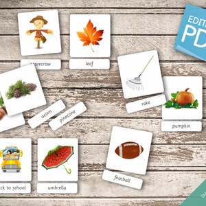 FALL Vocabulary • 40 Editable Montessori Cards • Flash Cards ...