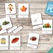 FALL Vocabulary 40 Editable Montessori Cards (Instant Download) - Etsy