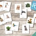 LIVING / Non-living 80 Editable Montessori Cards Flash Cards ...