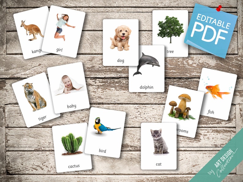 LIVING / Non-living 80 Editable Montessori Cards Flash - Etsy