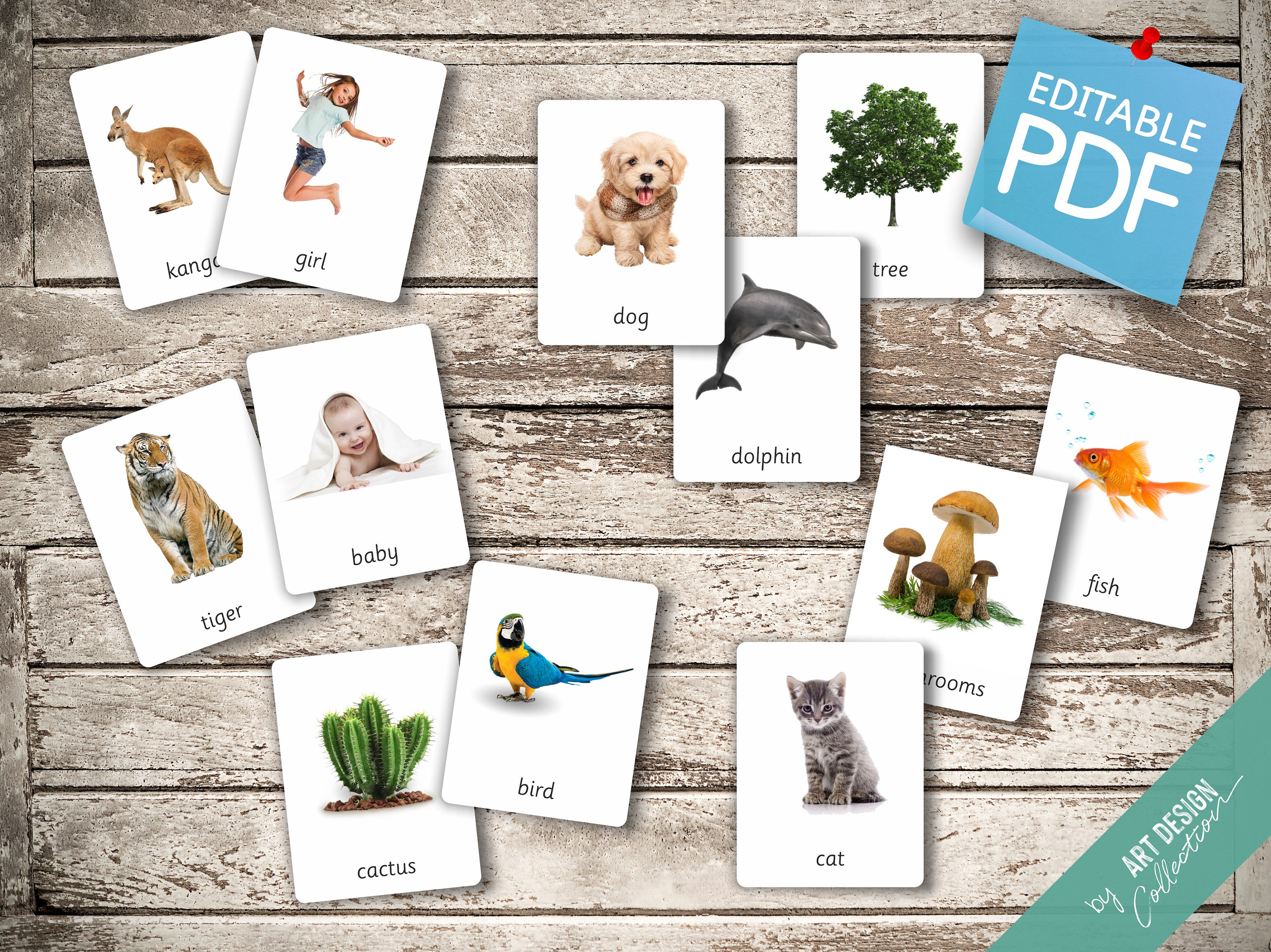 LIVING / Non-living • 80 Editable Montessori Cards • Flash Cards ...