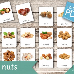 NUTS (real Pictures) • 22 Editable Montessori Cards • Flash Cards ...