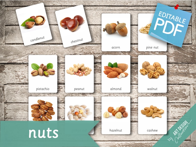 NUTS real Pictures 22 Editable Montessori Cards Flash - Etsy