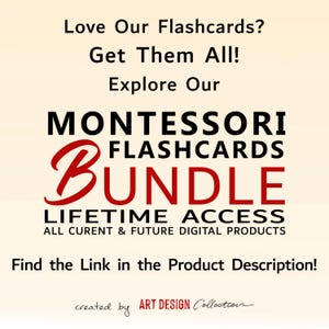 4 SEASONS • 36 Editable Montessori Cards • Flash Cards Nomenclature ...