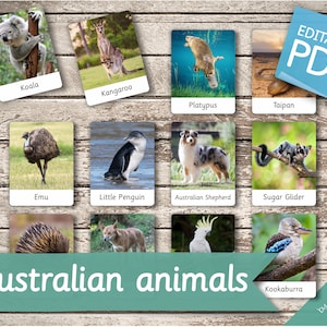 AUSTRALIAN ANIMALS • 32 Editable Montessori Cards • Flash Cards ...