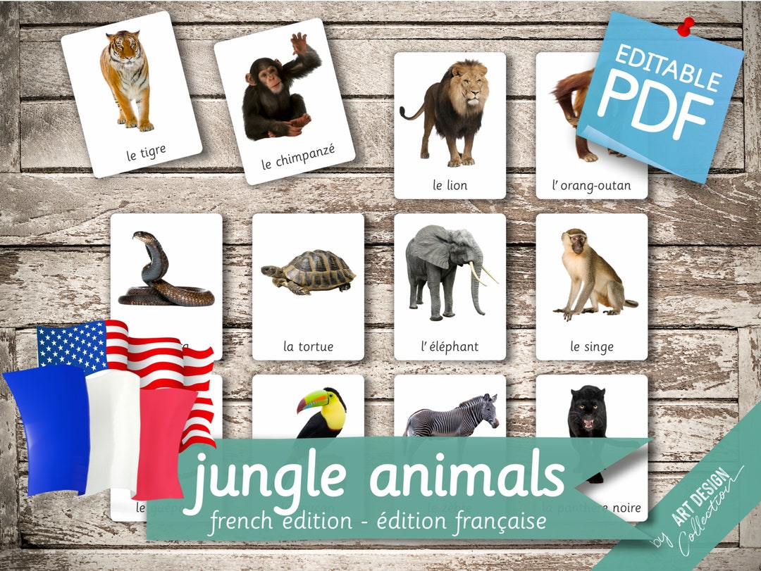 JUNGLE ANIMALS FRENCH Edition • 22 French and 22 English Editable ...
