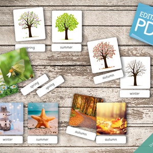 4 SEASONS • 36 Editable Montessori Cards • Flash Cards Nomenclature ...