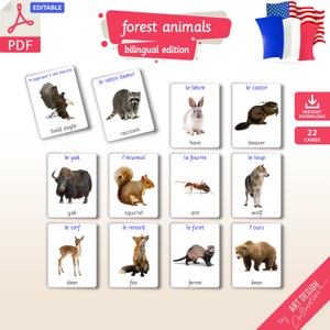 FOREST ANIMALS BILINGUAL • 22 Editable Montessori Cards • Flash Card ...