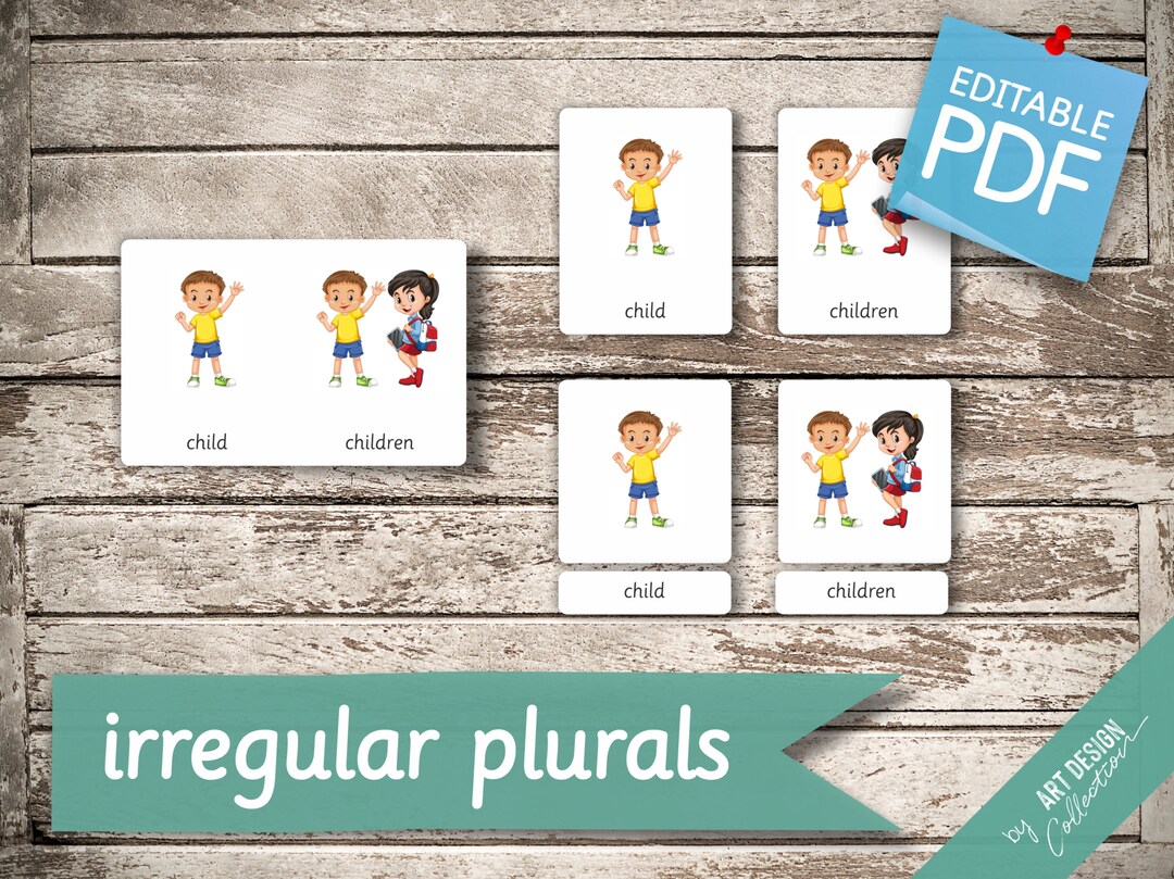 IRREGULAR PLURALS 54 Montessori Cards Flash Cards - Etsy