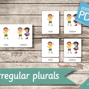 IRREGULAR PLURALS • 54 Montessori Cards • Flash Cards Nomenclature ...