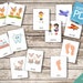 IRREGULAR PLURALS 54 Montessori Cards Flash Cards Nomenclature ...