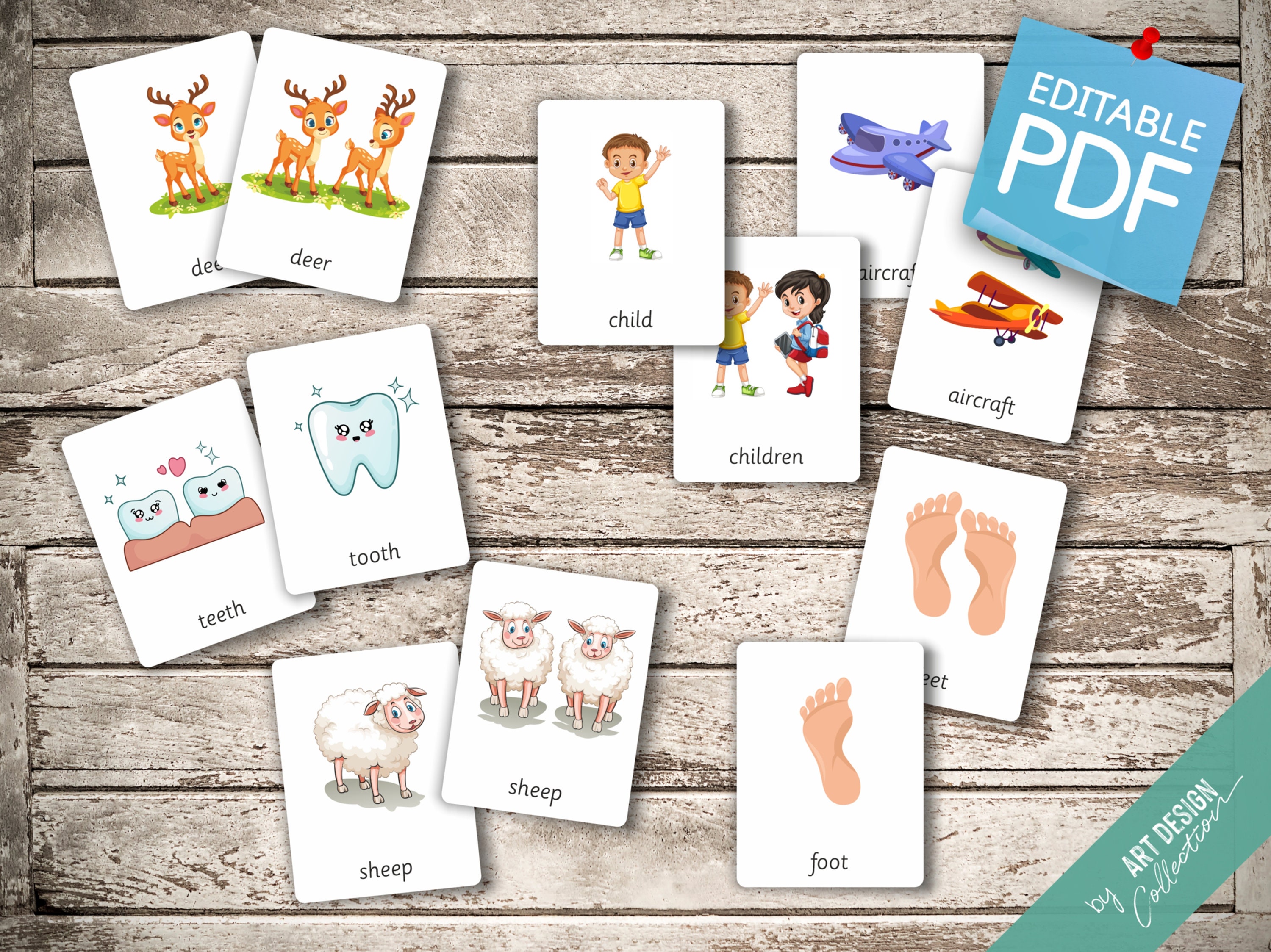 IRREGULAR PLURALS 54 Montessori Cards Flash Cards | Etsy