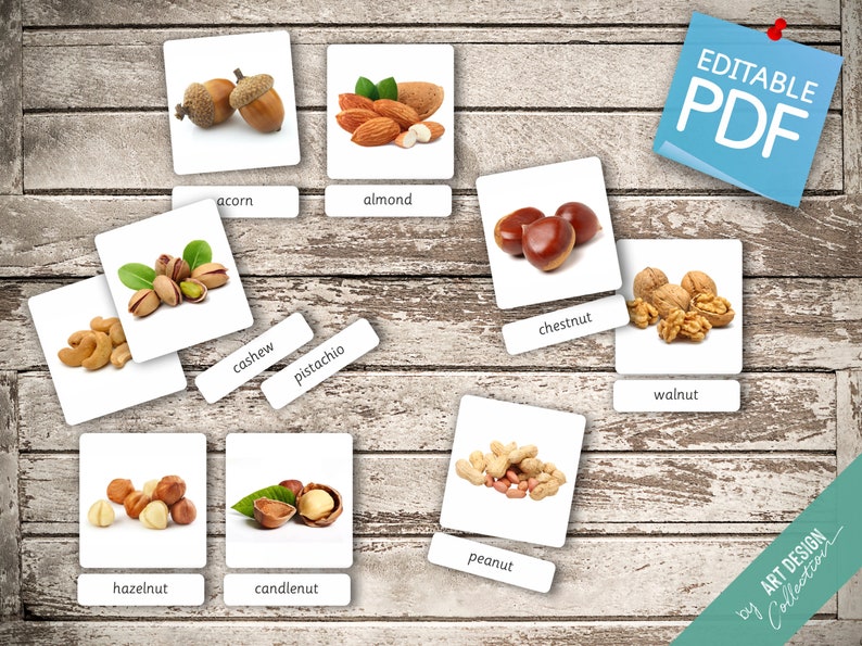 NUTS real Pictures 22 Editable Montessori Cards Flash - Etsy