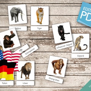 JUNGLE ANIMALS GERMAN Edition • 22 German and 22 English Editable ...