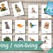LIVING / Non-living 80 Editable Montessori Cards Flash Cards ...