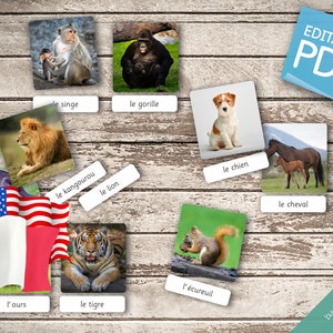 MAMMAL ANIMALS FRENCH Edition • 28 French and 28 English Editable ...