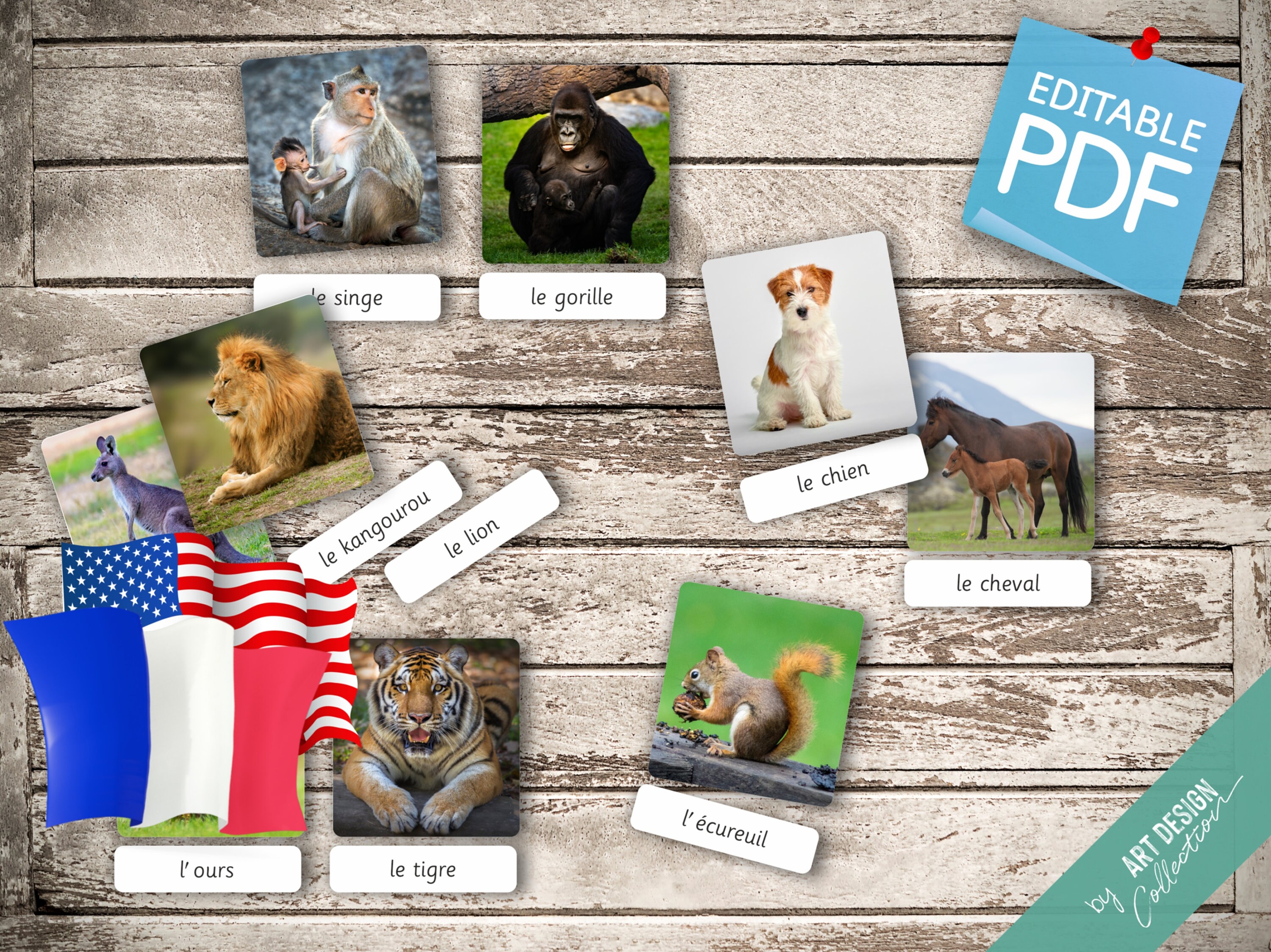 MAMMAL ANIMALS FRENCH Edition 28 French and 28 English | Etsy