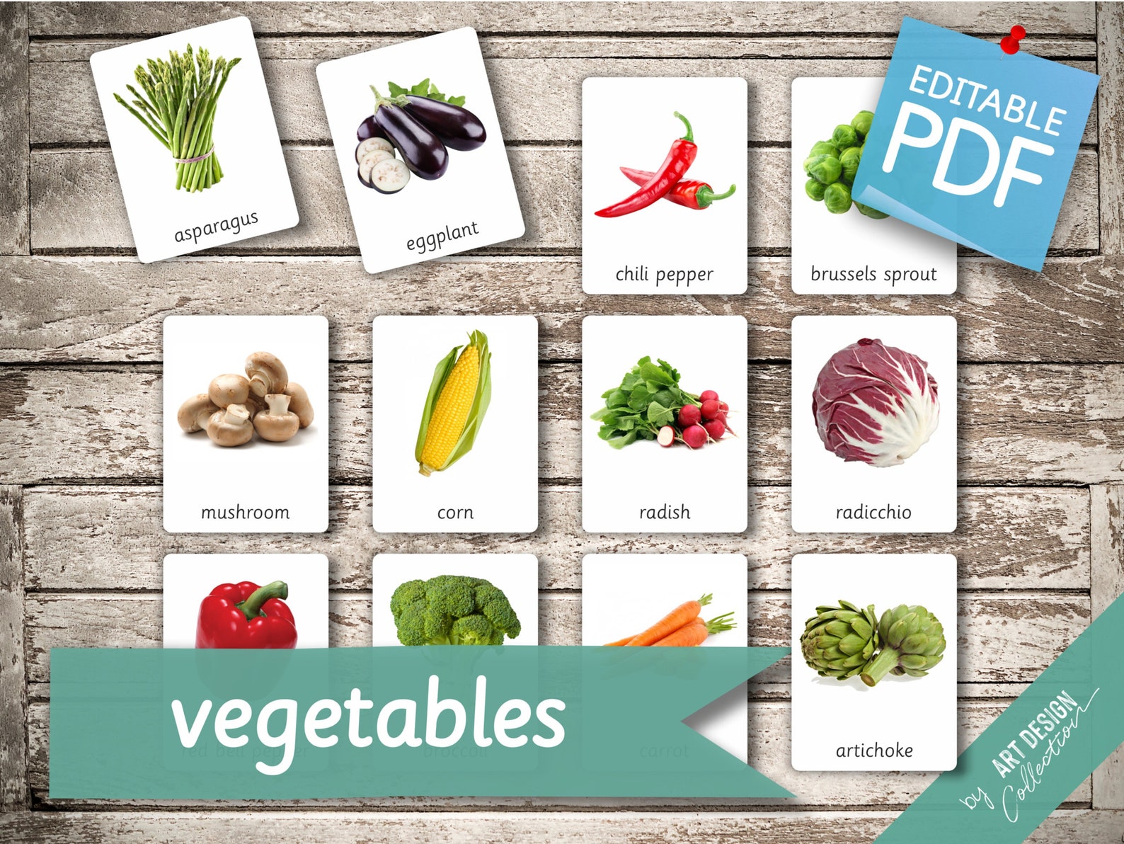 VEGETABLES real Pictures 46 Editable Montessori Cards Flash Cards ...