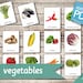 VEGETABLES real Pictures 46 Editable Montessori Cards | Etsy