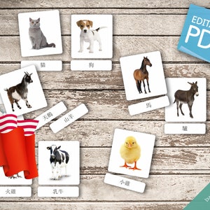 FARM ANIMALS CHINESE Edition • 22 Simplified Chinese 22 Traditional ...