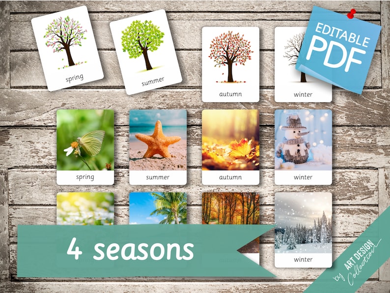 4 SEASONS • 36 Editable Montessori Cards • Flash Cards Nomenclature ...