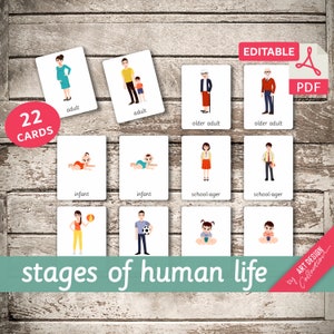 STAGES of HUMAN LIFE • 22 Montessori Cards • Flash Cards Nomenclature ...