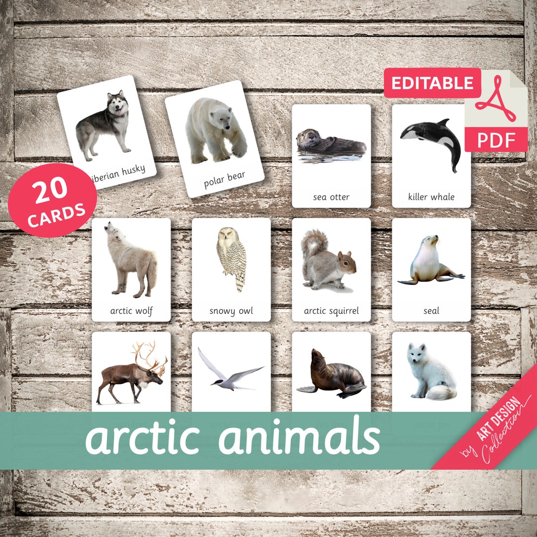 ARCTIC ANIMALS • 20 Editable Montessori Cards • Flash Cards ...