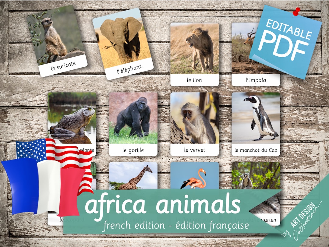 AFRICA ANIMALS FRENCH Edition • 28 French and 28 English Editable ...